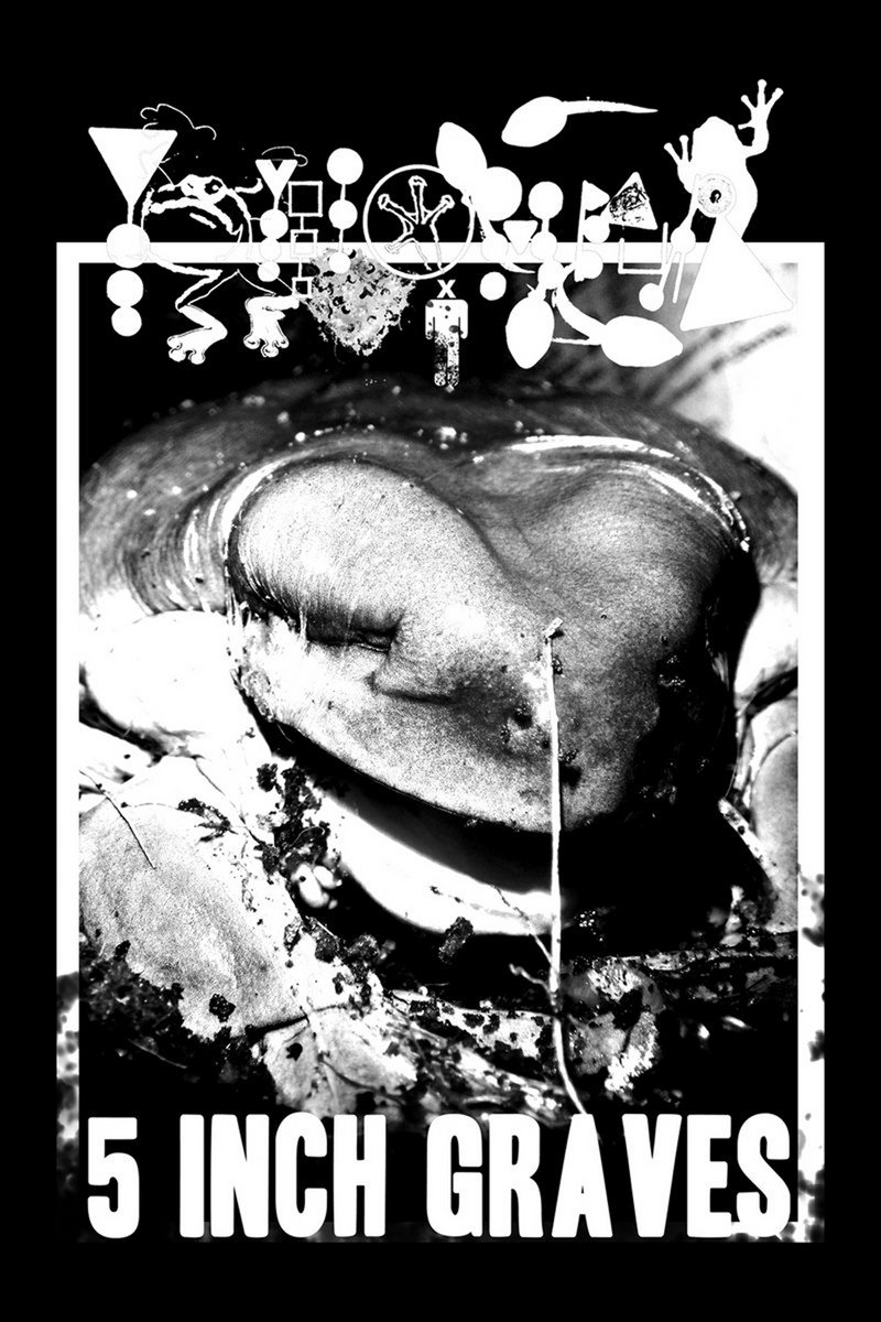 5 Inch Graves Girthsheath | Phyllomedusa