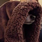 UNKILLABLE ANGEL | Ada Rook