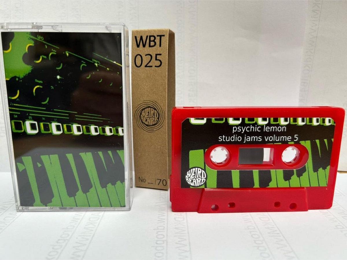 Studio Jams Volume 5 & 6 | Psychic Lemon | echodelickrecords