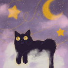 GOODNIGHT HYPNOPOMP | STOMACH BOOK