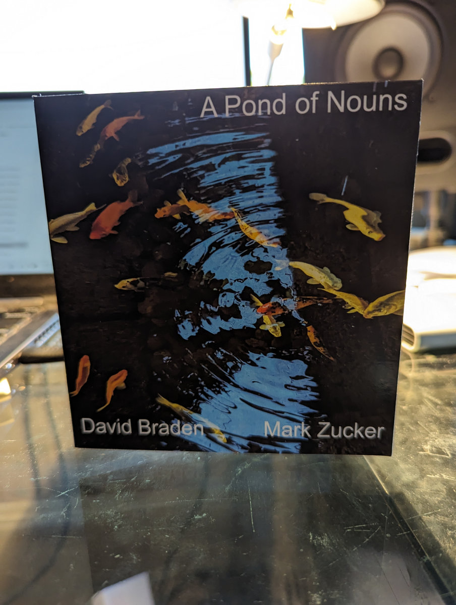 A Pond of Nouns | David Braden and Mark Zucker | David Braden