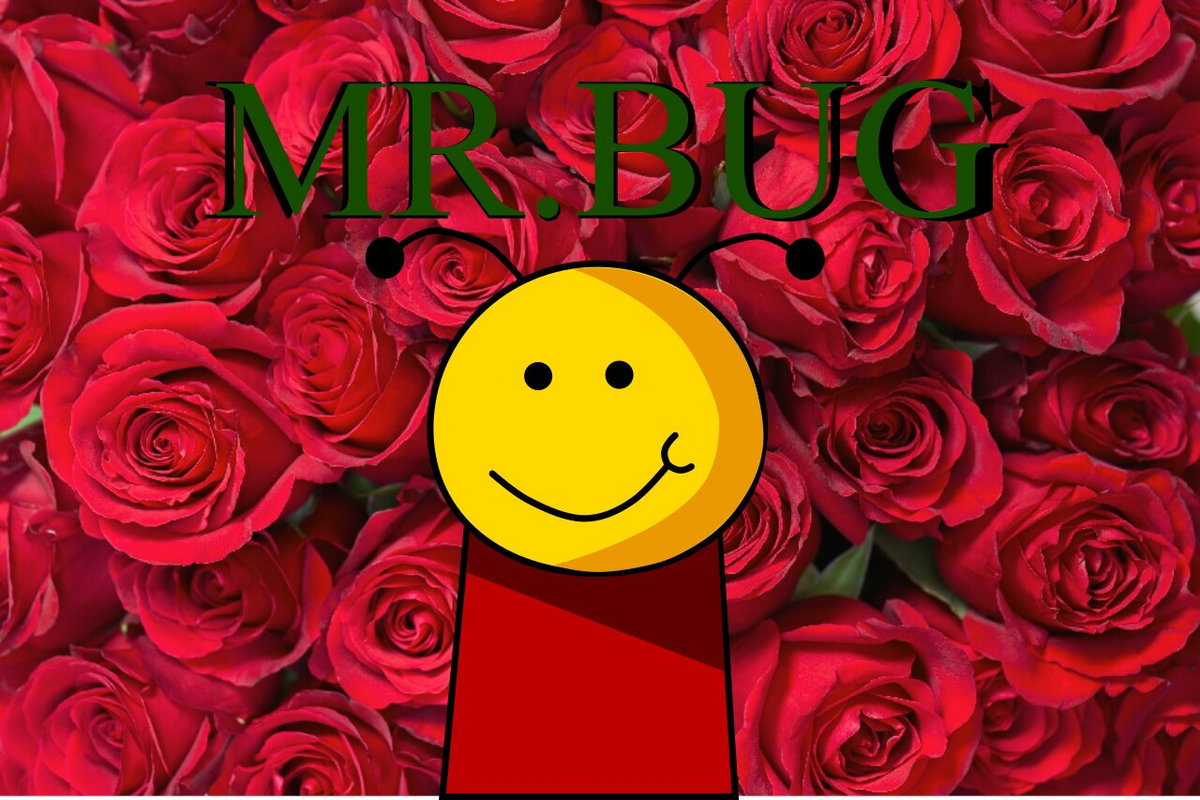 cormn flæk | Mr.Bug