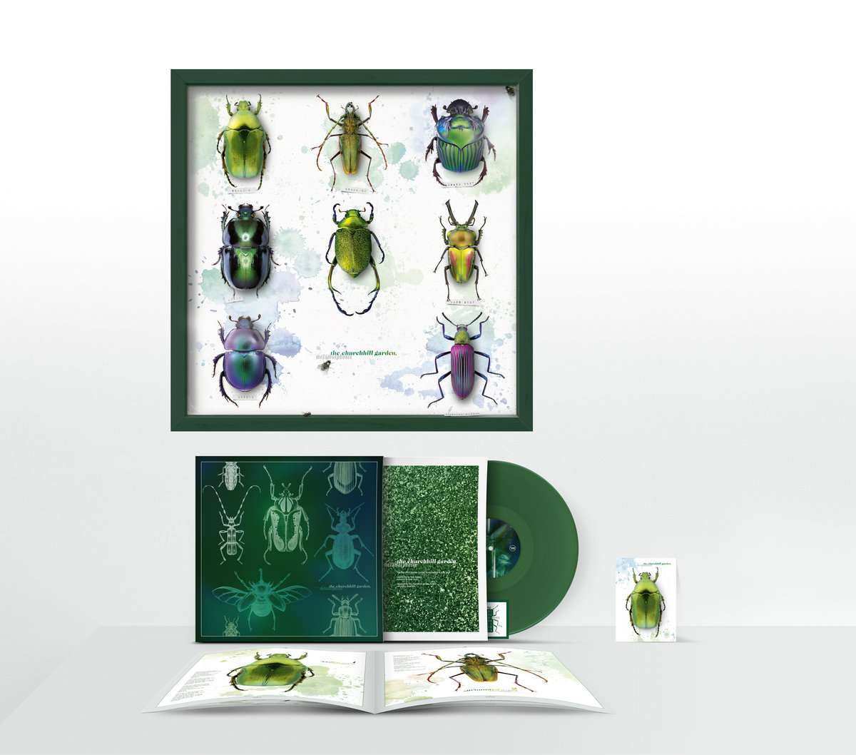 metamorphosis (collection 2023) | the churchhill garden