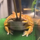 Sharp Like A Razor | Clouds | Headstrong