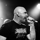 Here To Destroy | SPLIT DOGS