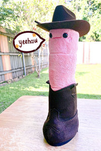 Music | Western Rigbo & The Worthwhile Country Band