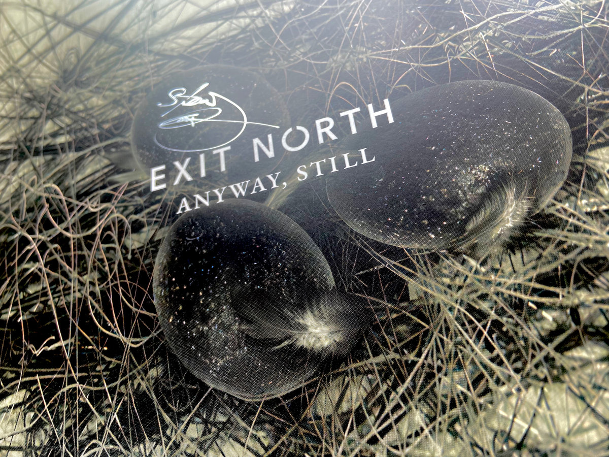 Exit North LP Gatefold Sleeve *ONLY* for 'Anyway, Still' | Exit North