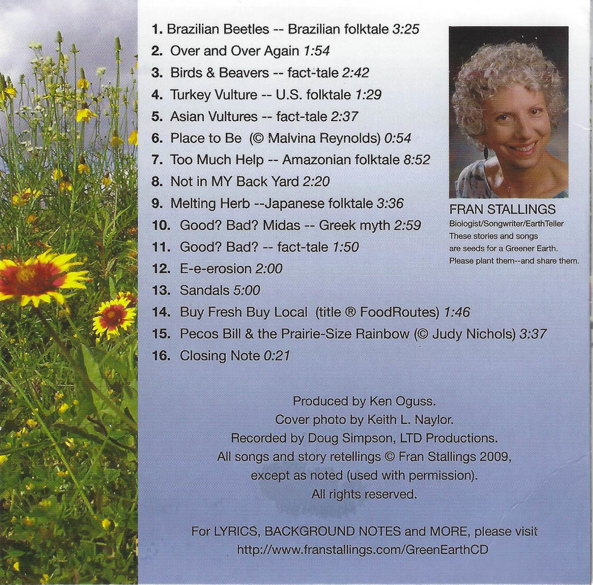 Brazilian Beetles | Fran Stallings