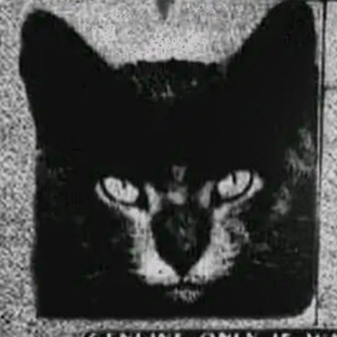 Lived and Born | Sunmundi & klwn cat | klwn cat