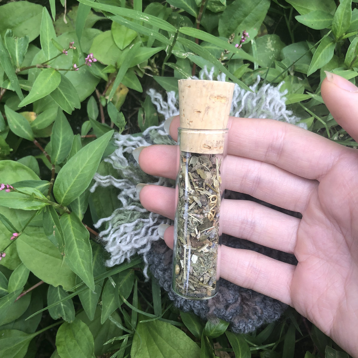 Croakus Pokus | The Croaks