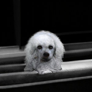 Music | human lighthouse