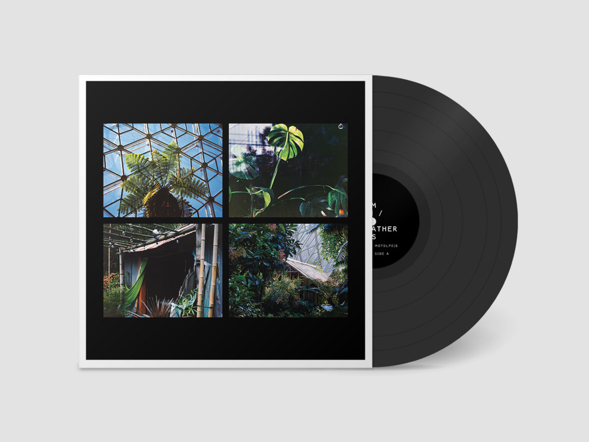 The Weather Indoors | William Selman