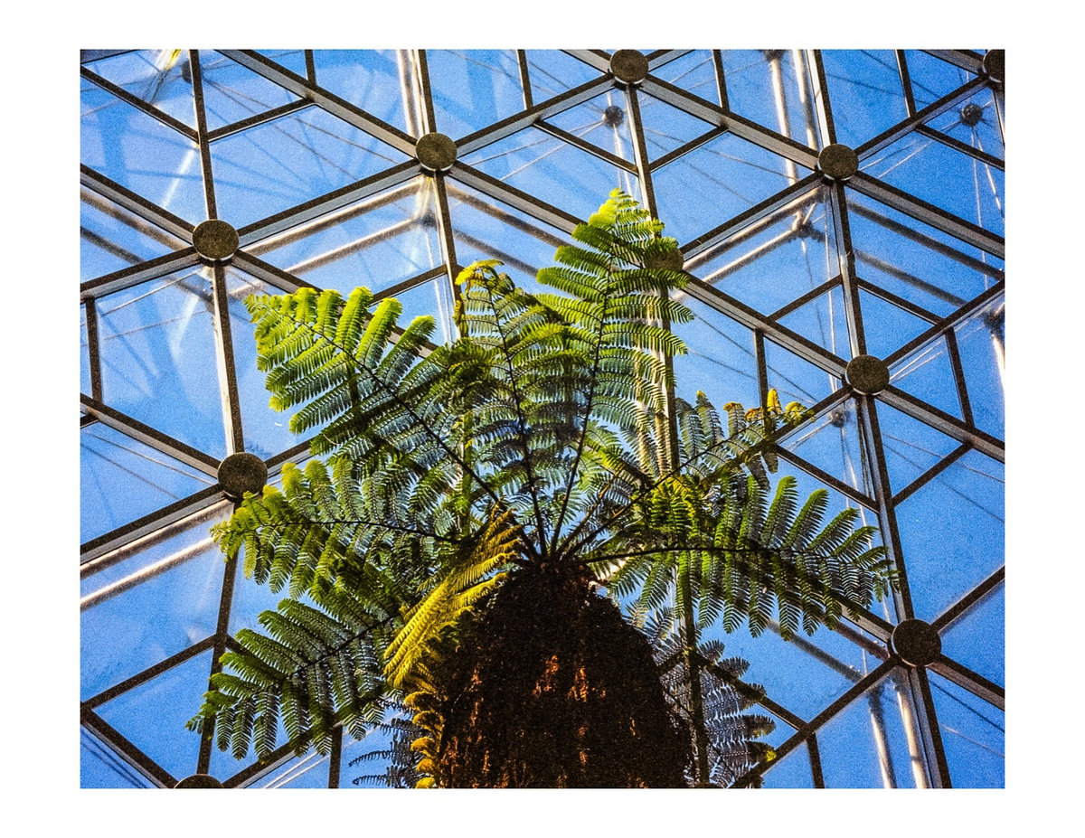 The Weather Indoors | William Selman