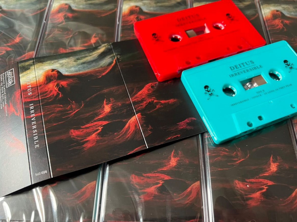 IRREVERSIBLE (Standard Edition) | Deitus