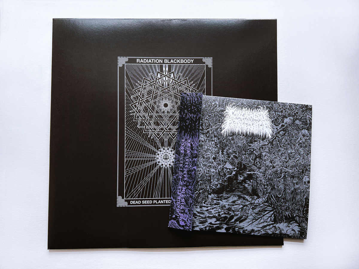 Dead Seed Planted in Dead Earth | Radiation Blackbody | Nerve Altar