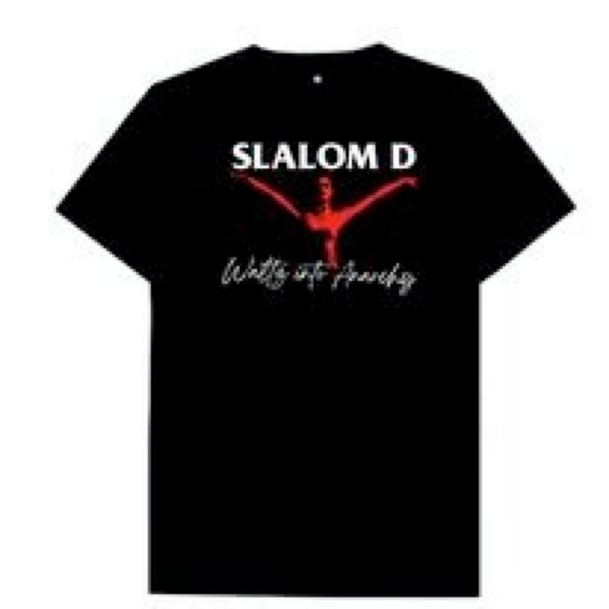 Waltz Into Anarchy | Slalom D | Serial Bowl Records
