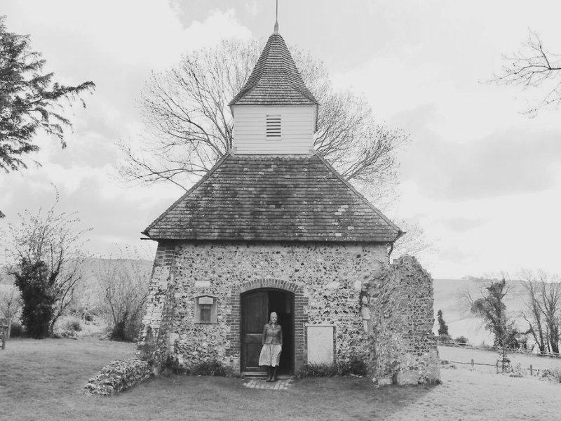 Nightjar | Liz Overs