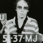 Music For Cats | cEvin Key