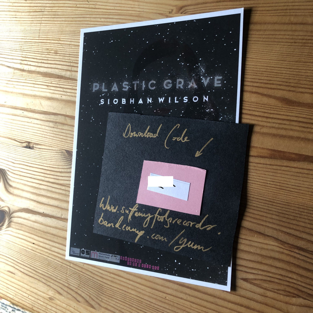 Plastic Grave | Siobhan Wilson