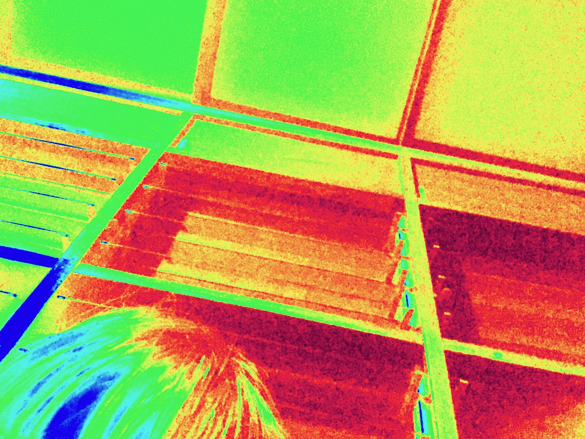 Atypical Learning - Official Soundtrack | SetuT