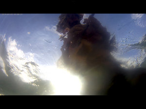 Music | Acoustic Explorer