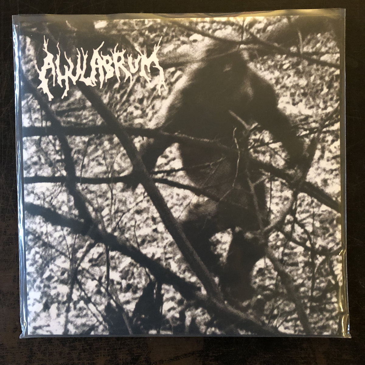 Strange Lights Portend Their Presence | Ahulabrum | C/Site Recordings