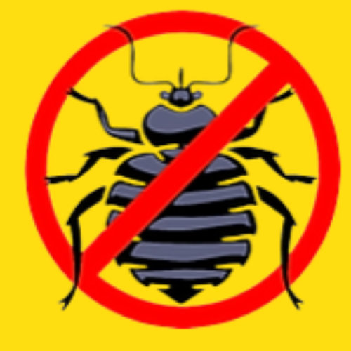 Guide to Insect Types and Pest Control Tips | pestcontrol