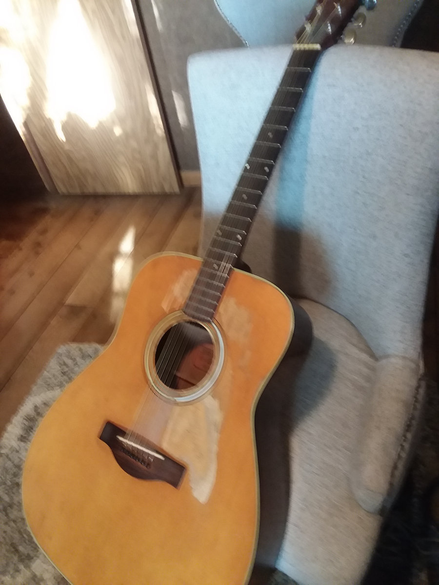 A Man His Guitar and the Blues | Larry Alderman