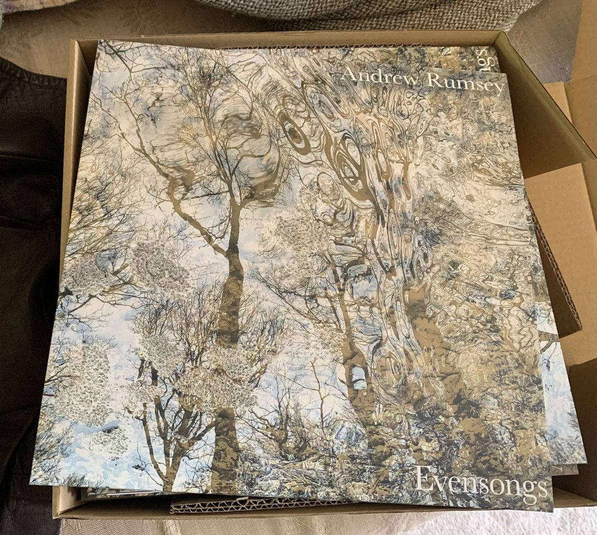 Evensongs | Andrew Rumsey