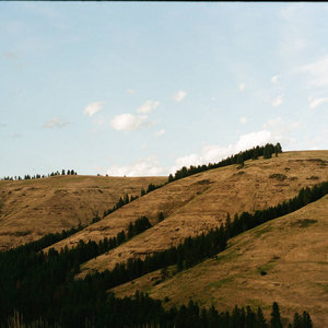Music | madrona point