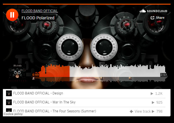 Polarized | FLOOD | FLOOD Official Band