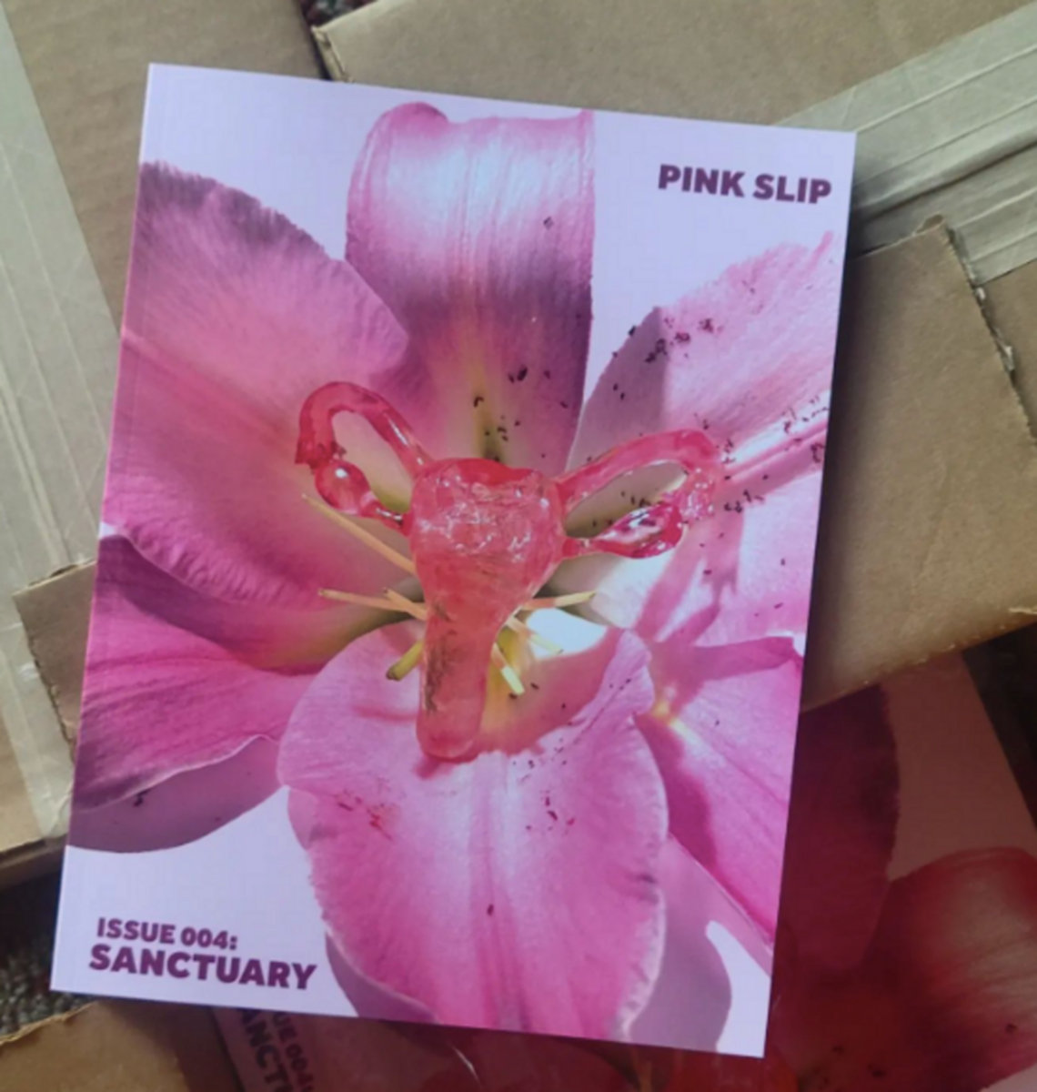 PINK SLIP ZINE ISSUE 004: Sanctuary | Pink Slip Press