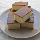 Slime Rancher: Original Soundtrack II + The Casey Sessions | Monomi Park