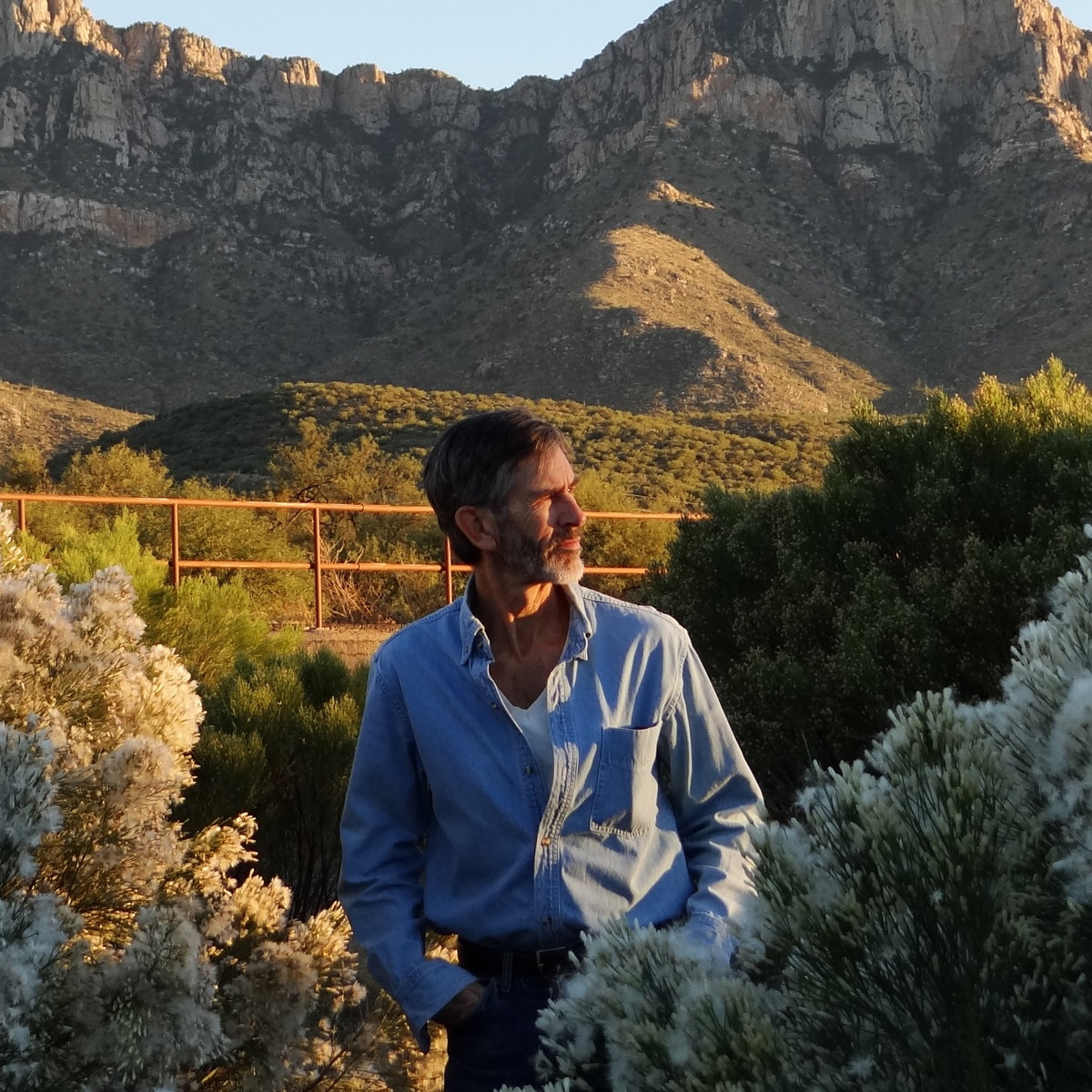 Harmonic Waves | Jim Hilbert