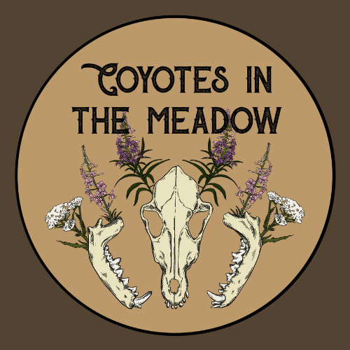 Rust and Mold | Coyotes in the Meadow