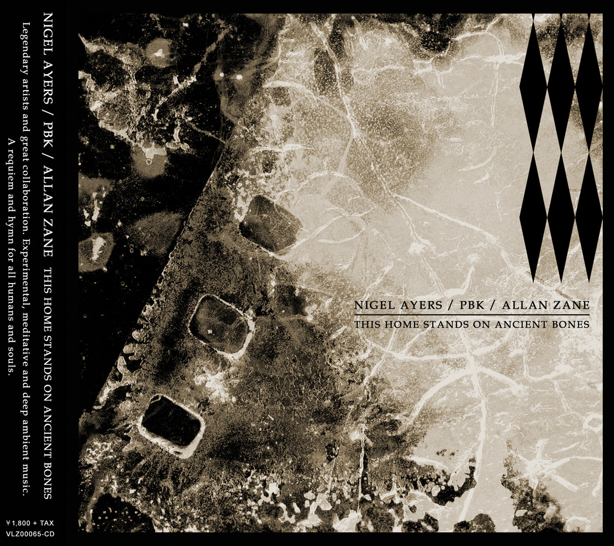 THIS HOME STANDS ON ANCIENT BONES | NIGEL AYERS / PBK / ALLAN ZANE ...