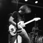 PROVISIONAL LIVING | Terry Green