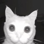 Risk of Rain 2: Alloyed Collective | Stavros Markonis