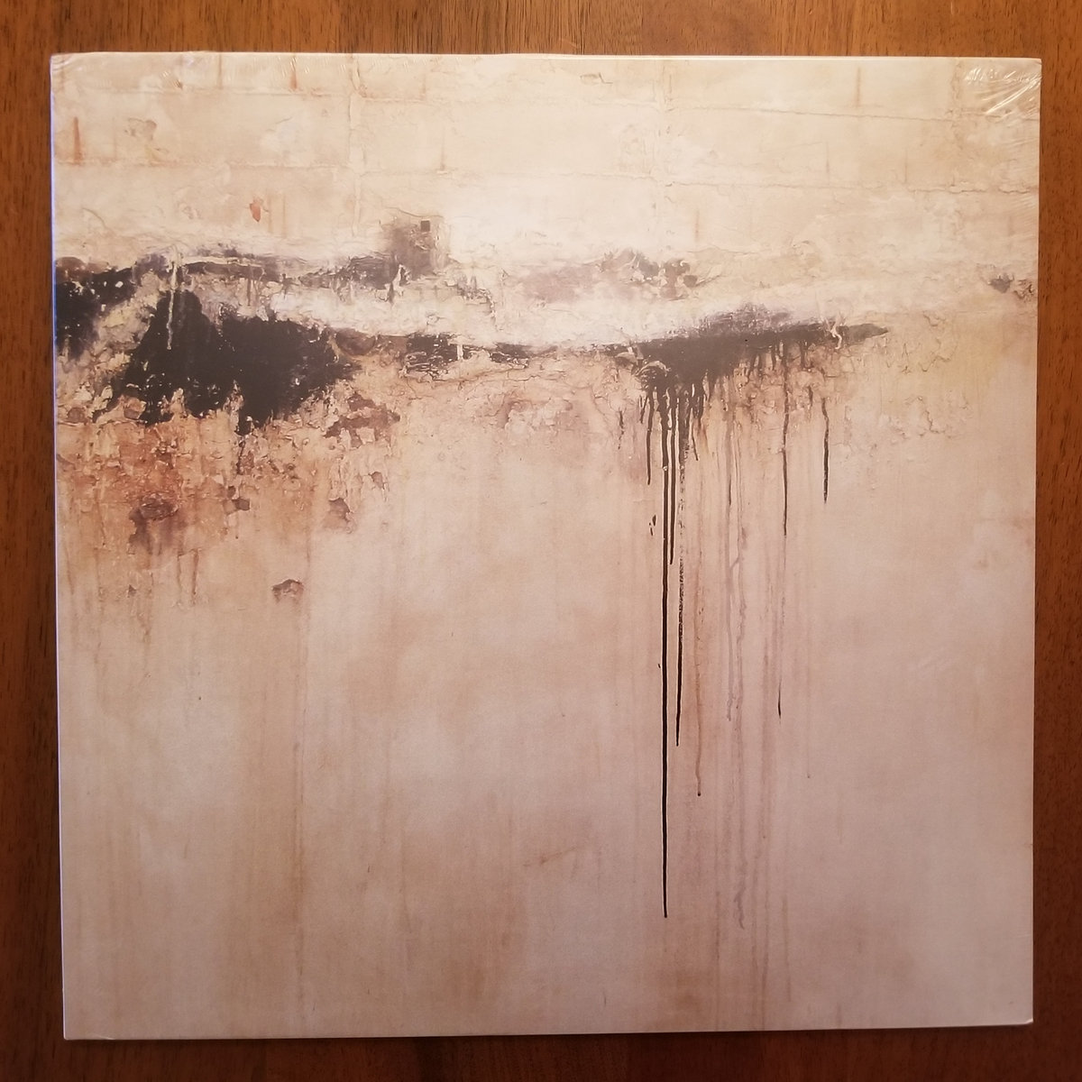 Reimagined by Joseph Minadeo | Forrest | Infraction