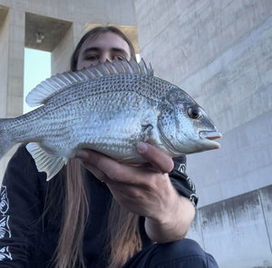 Music | Jared Robinson SAE