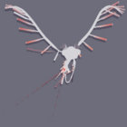 Rain World - Songs and Rhythms | James Primate