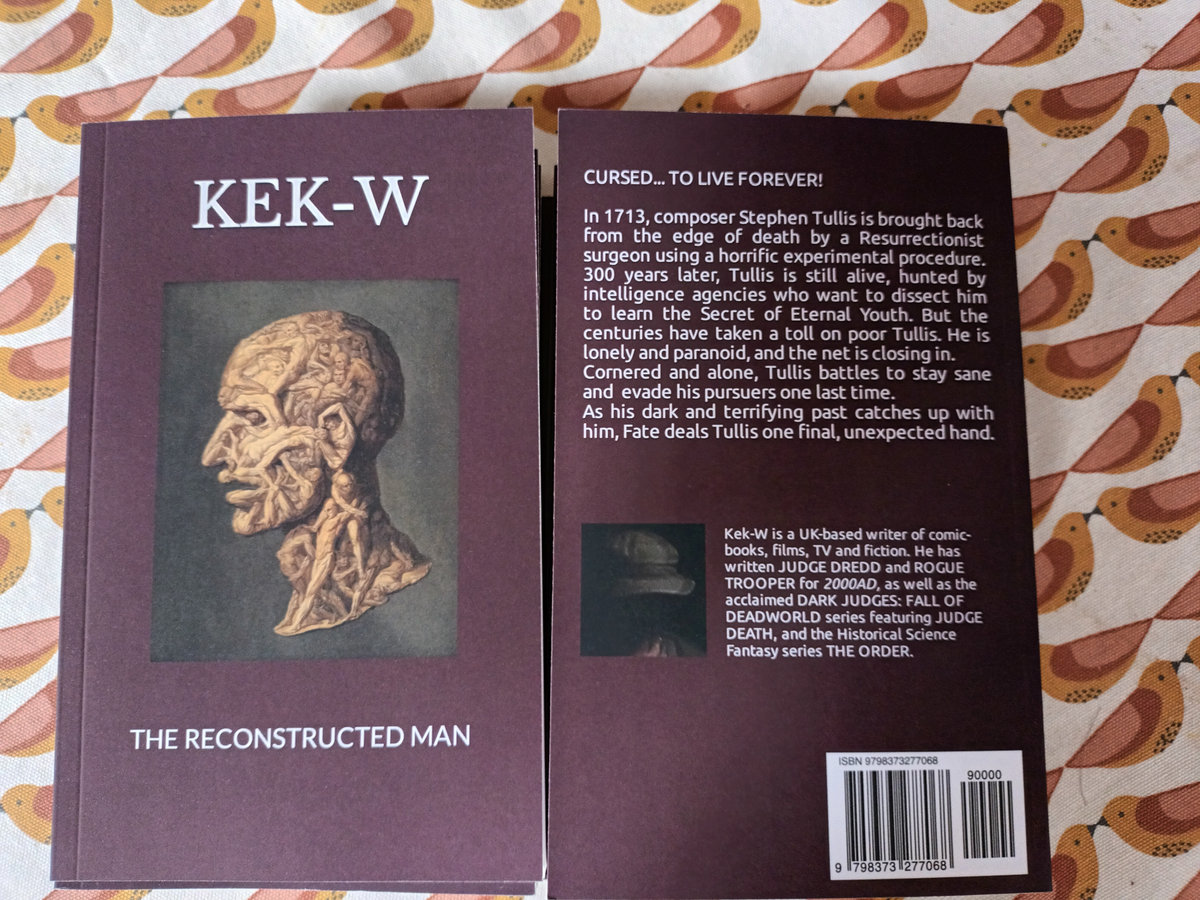 THE RECONSTRUCTED MAN novella | kekw