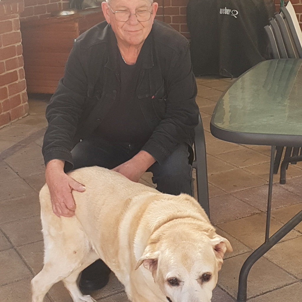 stimson-bettcher's collection | Bandcamp