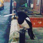 MFTC ARCHIVES Vol2 | Task Force