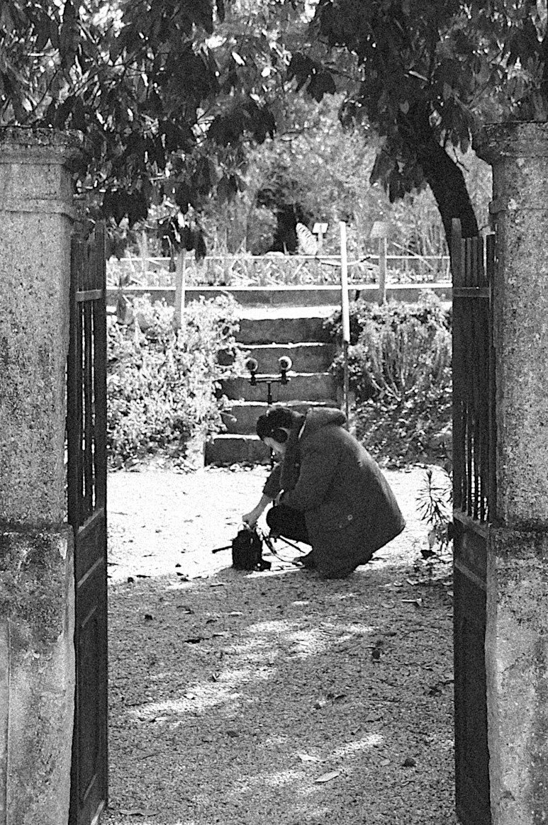 Office foley - Motion design | Spectro_SD