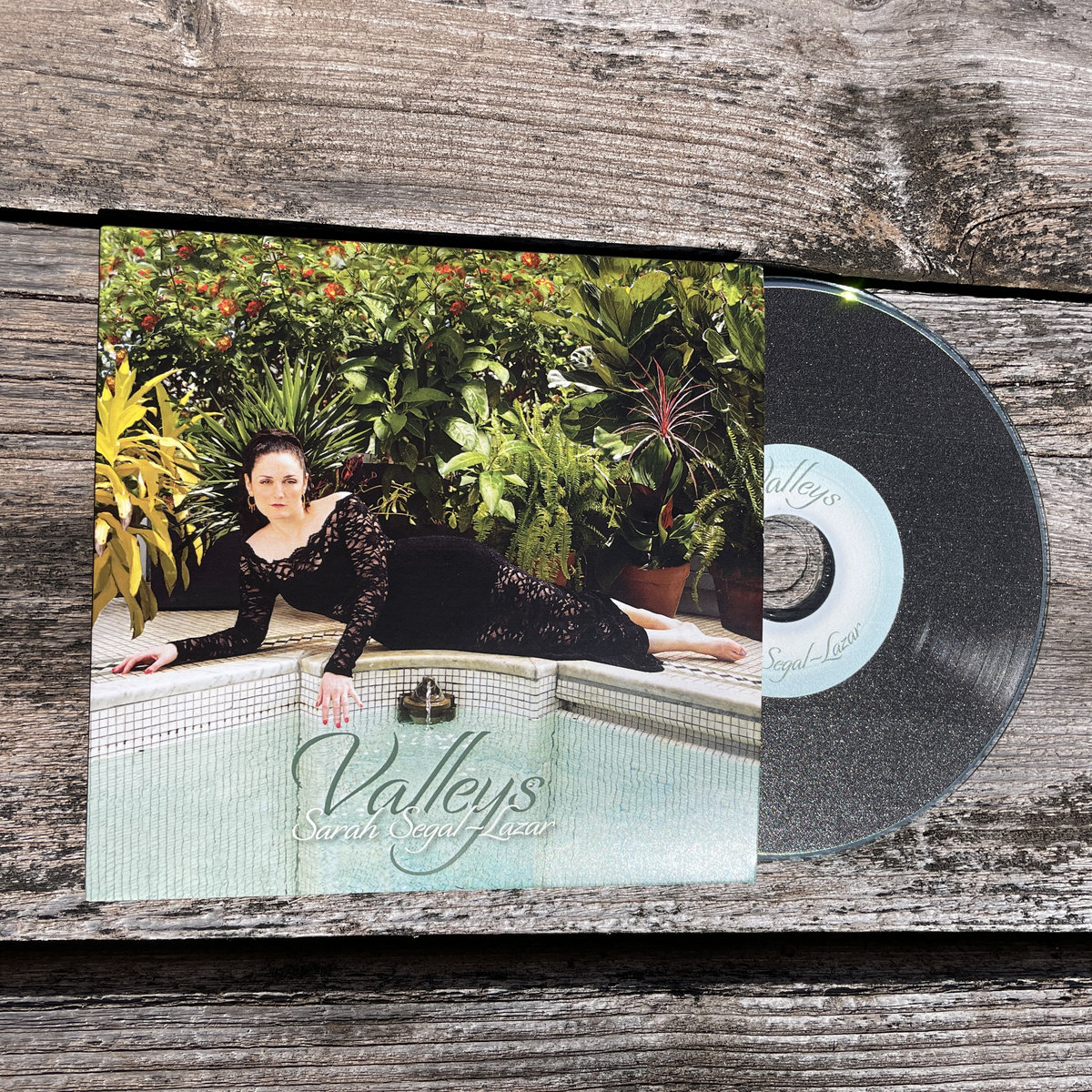 Valleys | Sarah Segal-Lazar