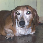 Return to Wherever | TWRP