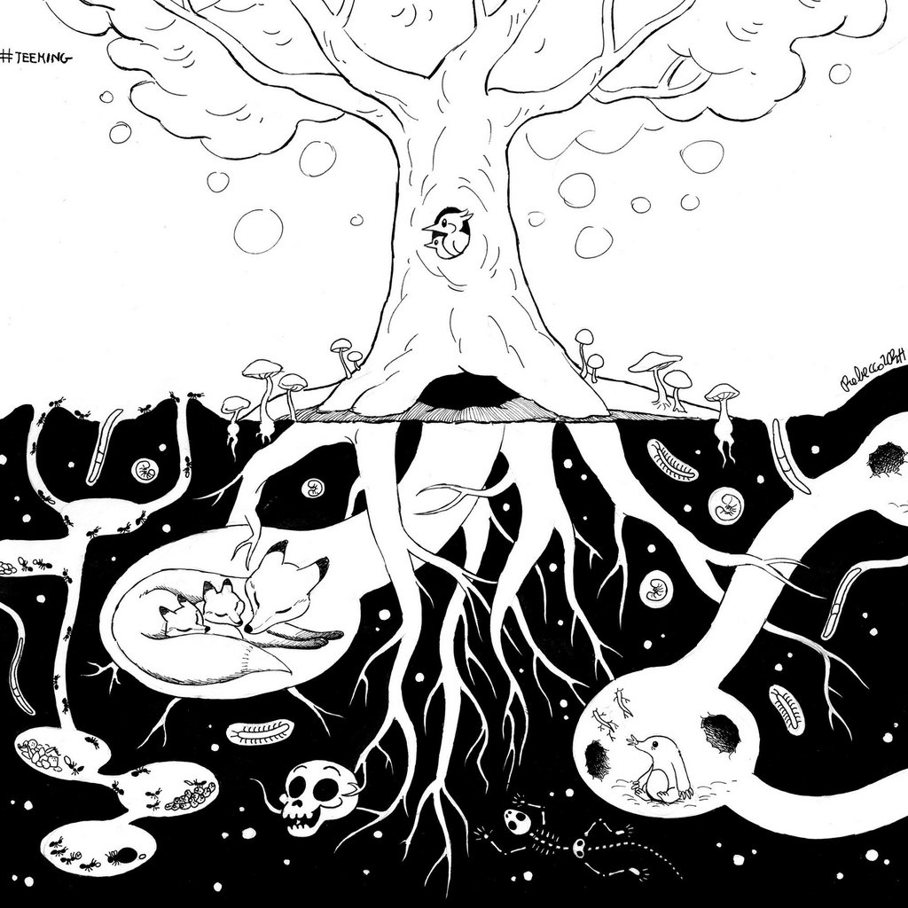 stephenhead's collection | Bandcamp