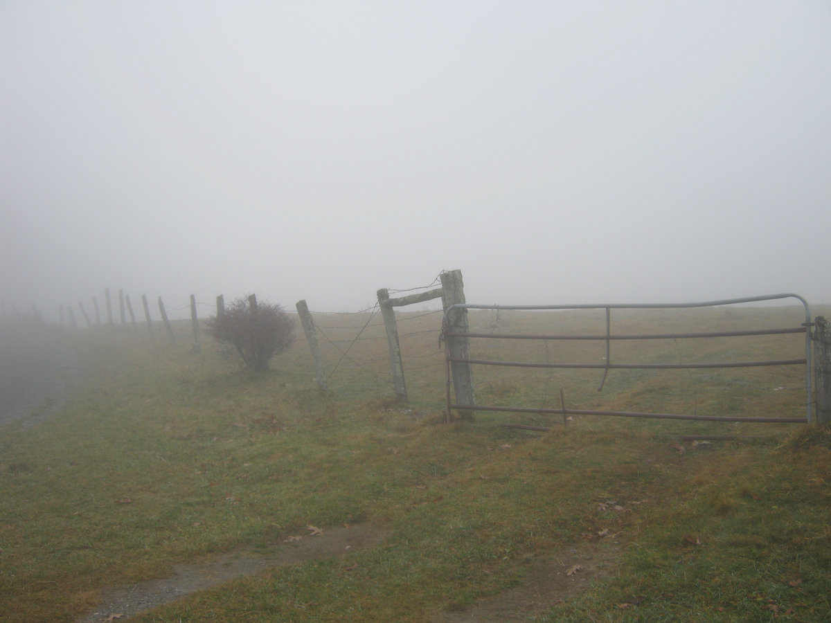 Winter Demos | Sun Decay