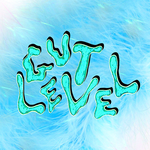 Blissful Dancefloor Hooliganism: A Gut Level Fundraiser Compilation ...